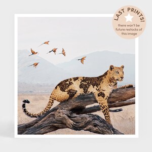 Art Print: World Map Leopard Feline Travel Wall Decor Cute Gift - Etsy