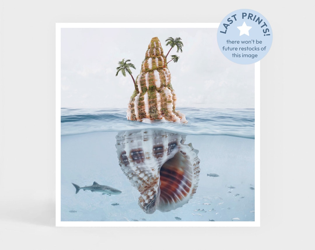 Art Print: Seashell Island • Ocean Sea Shell Wall Decor • Cute Gift - Etsy