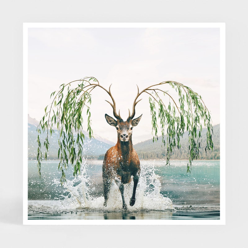 Willow Deer Etsy