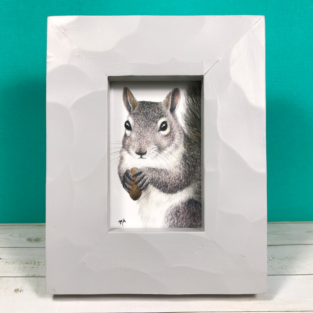Squirrel Original Colored Pencil Drawing in a Gray Frame, Gifts for ...
