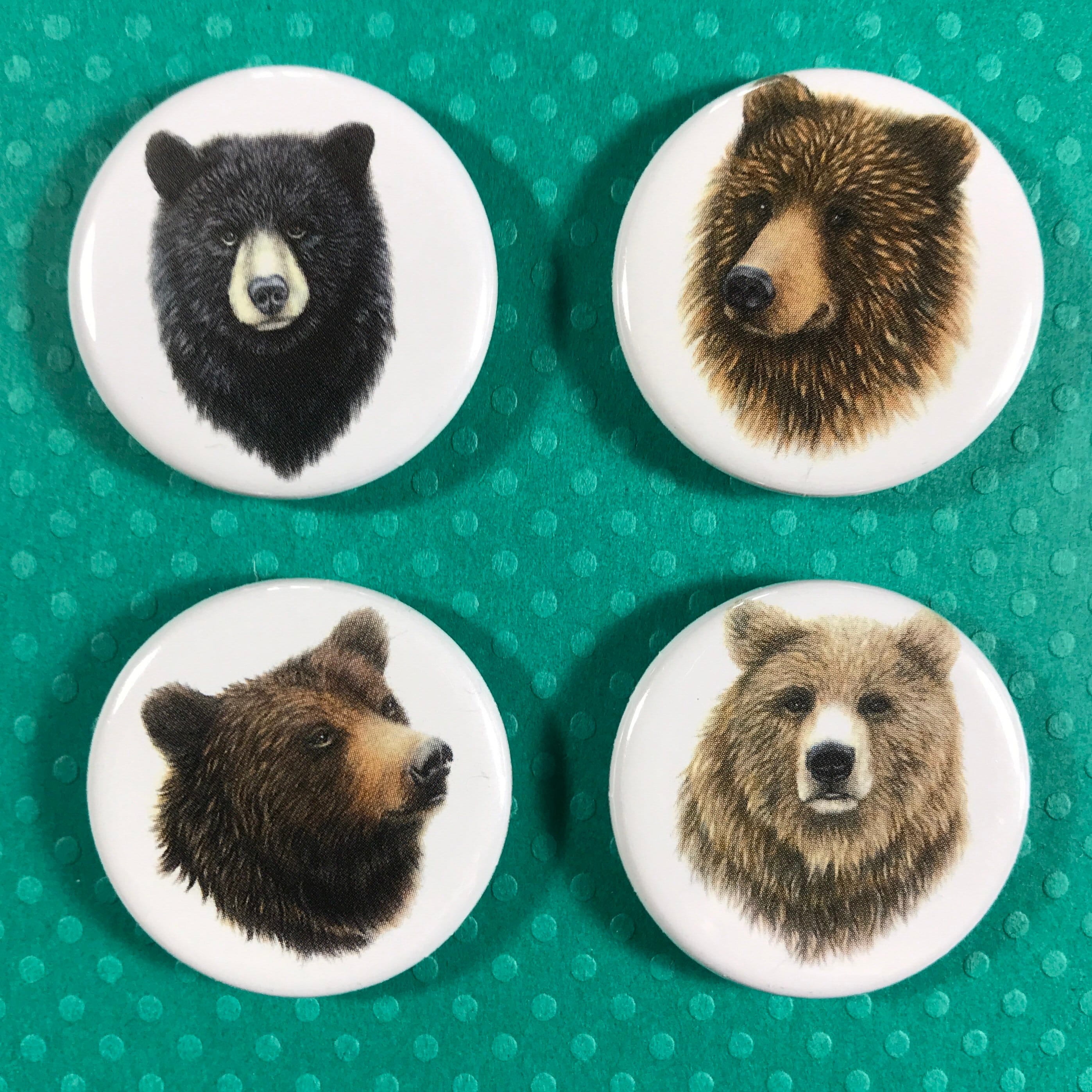 Bear Button 4 Pack | Etsy