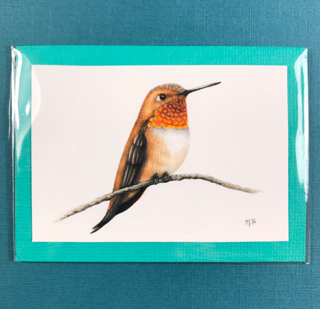 Itty Bitty Frameless Original Colored Pencil Hummingbird Drawing - Etsy