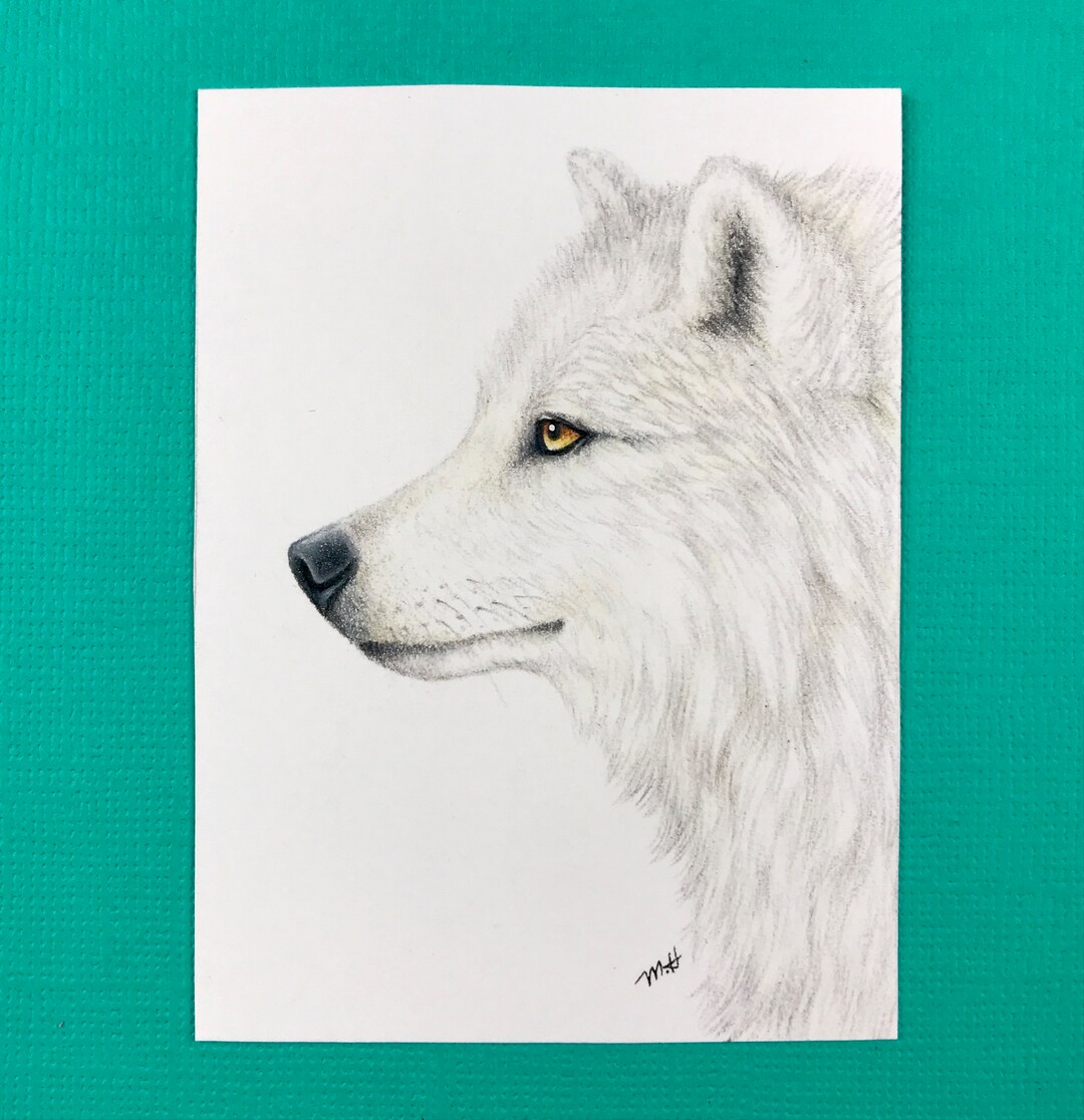 White Wolf Itty Bitty Frameless Original Colored Pencil Drawing - Etsy