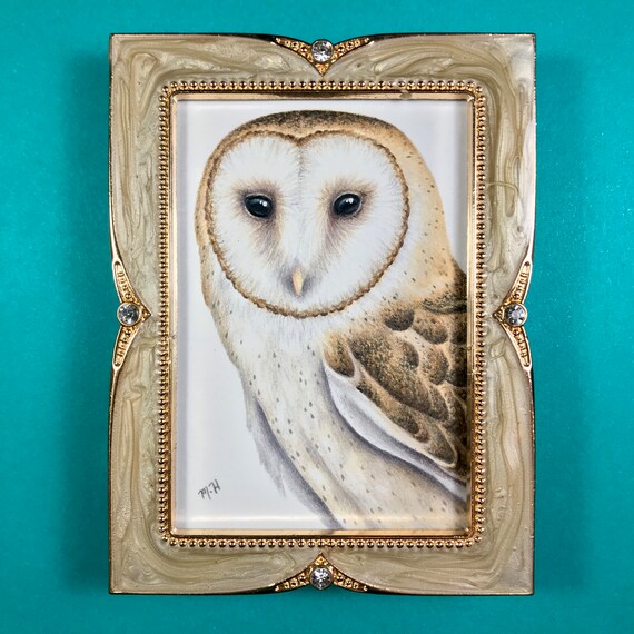 Colorful Barn Owl Drawing