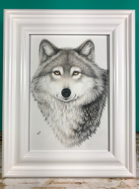 Wolf Drawing In Pencil