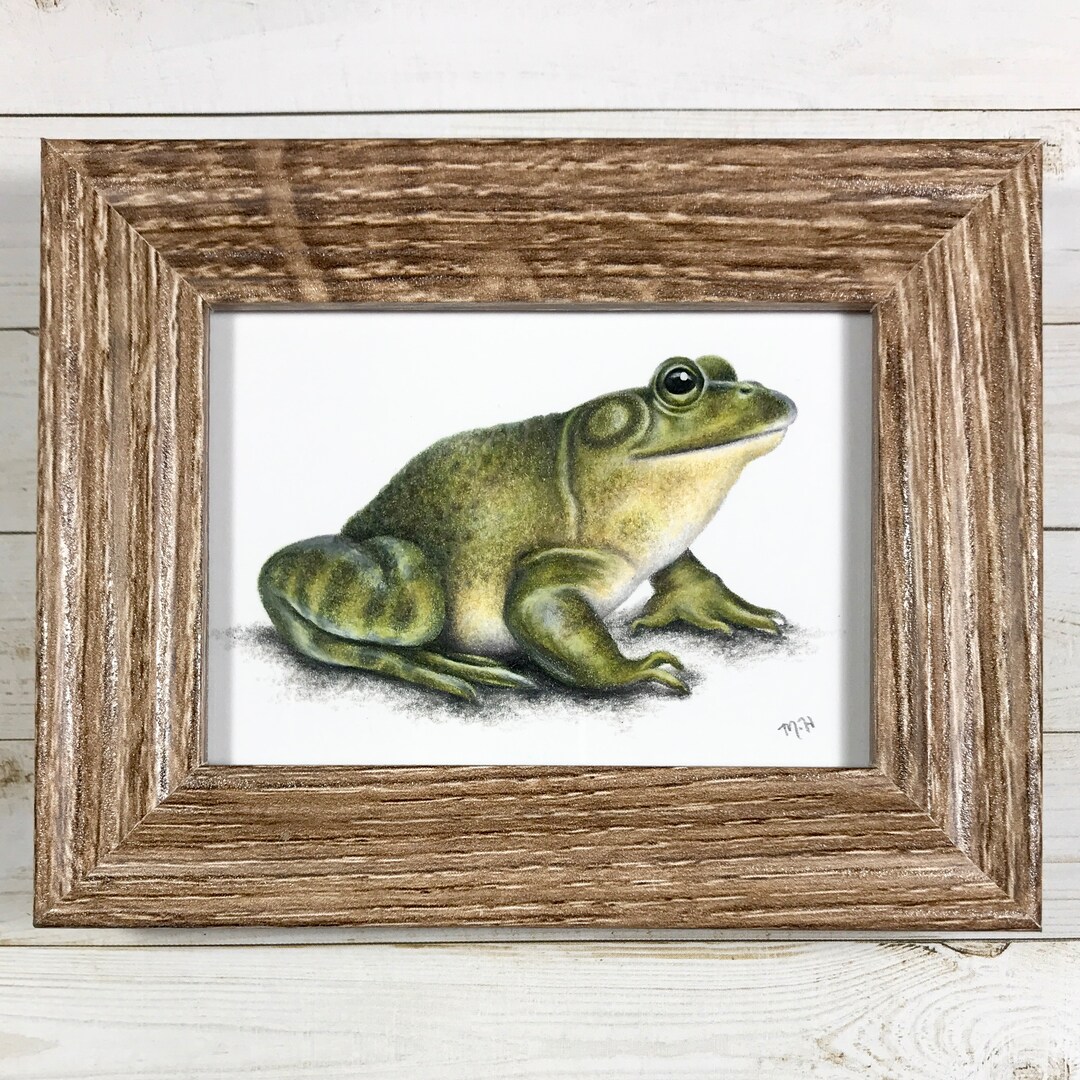 Frog Colored Pencil Drawing in a Faux Wood Frame, Farmhouse Style, Hand ...