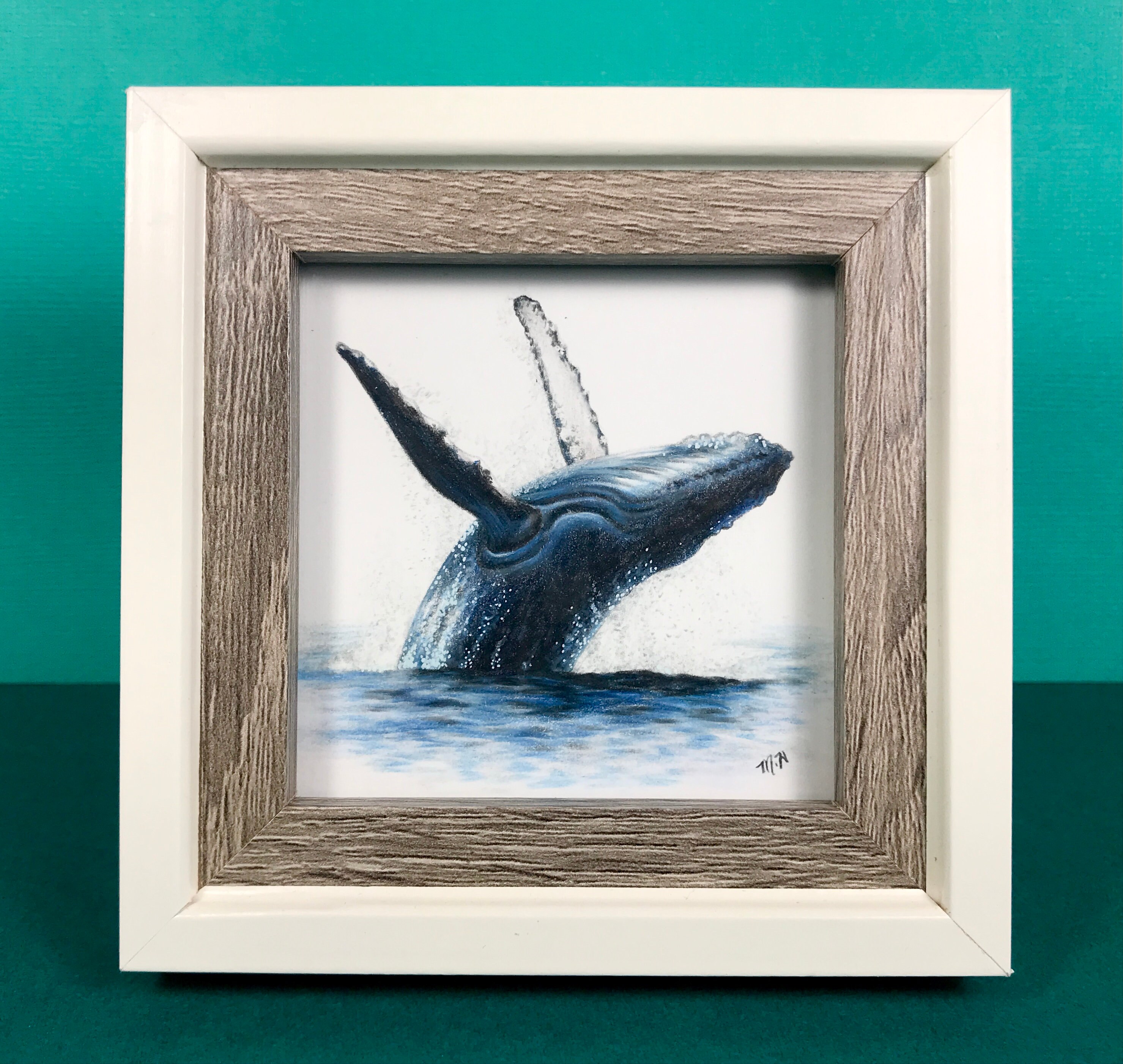 Humpback Whale Breaching Drawing
