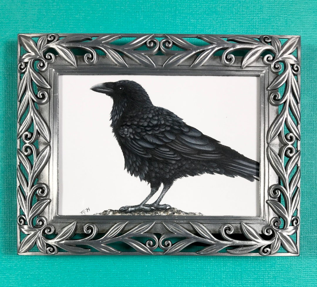 Raven Colored Pencil Drawing in a Silver Leaf Frame Gift for - Etsy