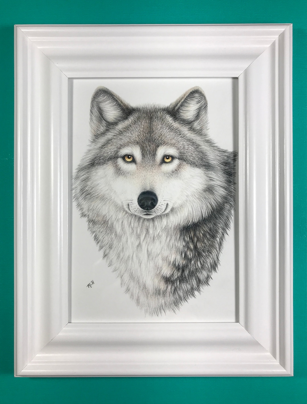 Large Original Colored Pencil Wolf Drawing in a White Frame - Etsy