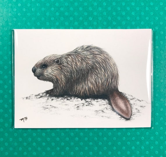 Colored Pencil Beaver itty bitty frameless original colored pencil ...