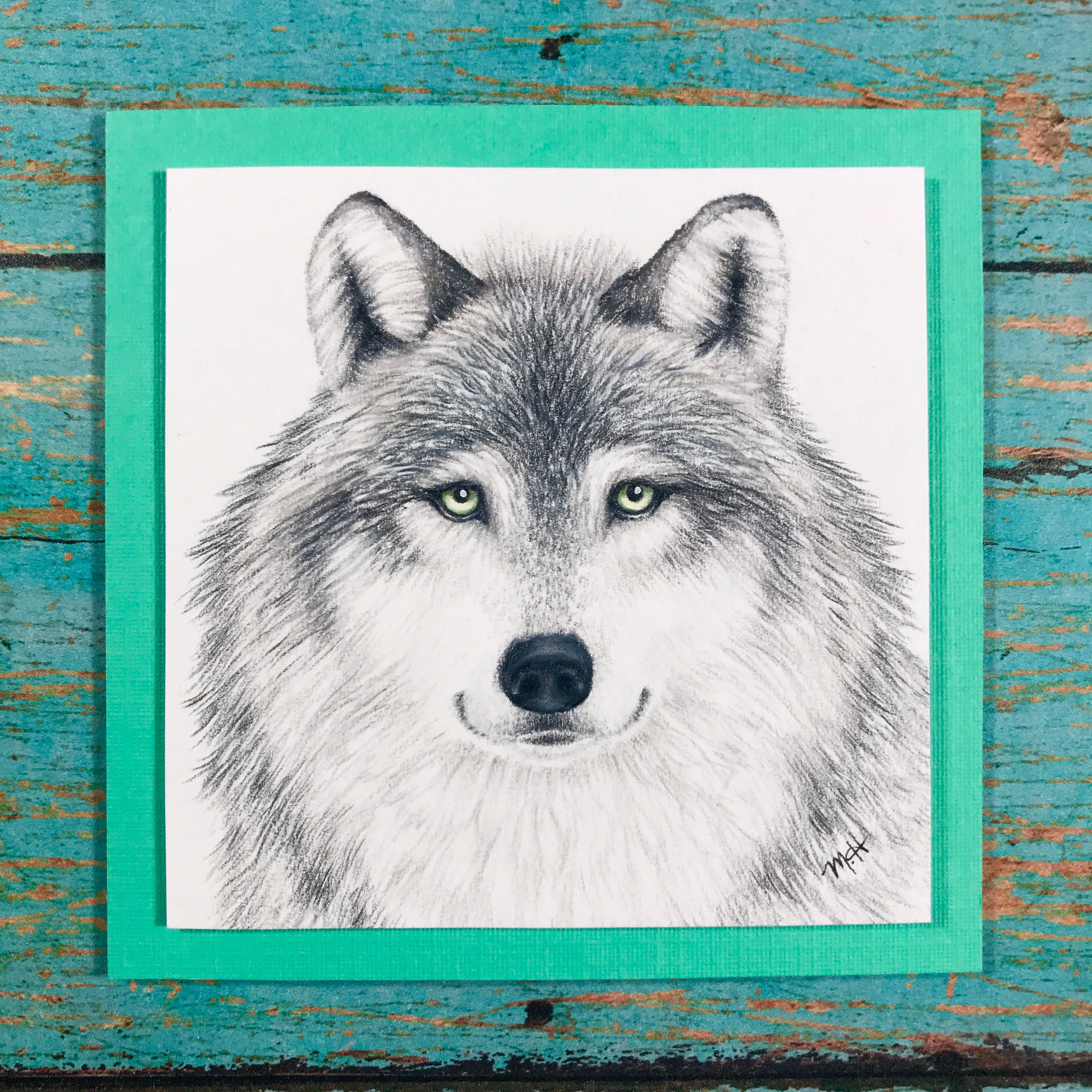 Gray Wolf Drawing Colored