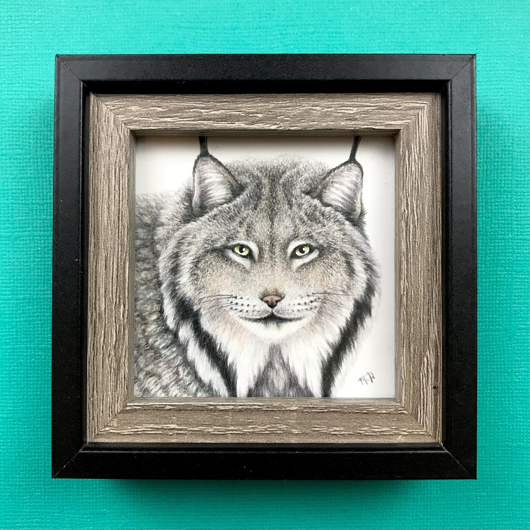Canadian Lynx Original Colored Pencil Drawing in a Faux Wood and Black ...