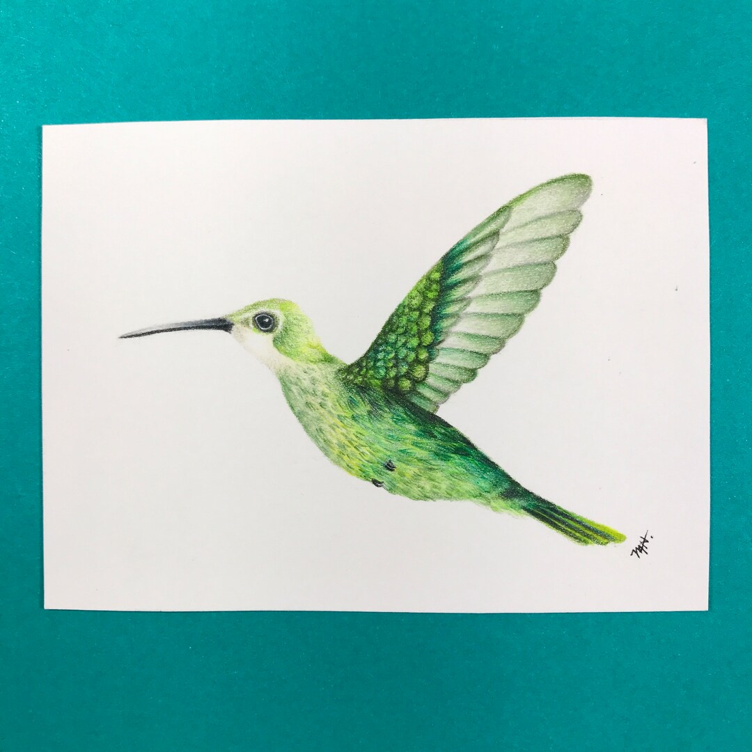Frameless Original Colored Pencil Hummingbird Drawing, Gift for Mom ...