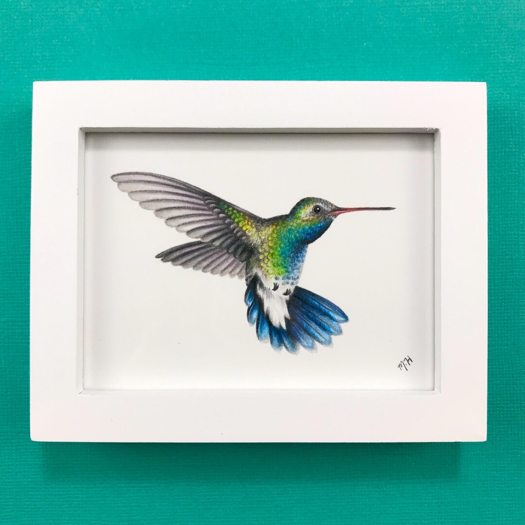 Dibujo de un colibrí a lápiz de color en un marco blanco, decoración de ...