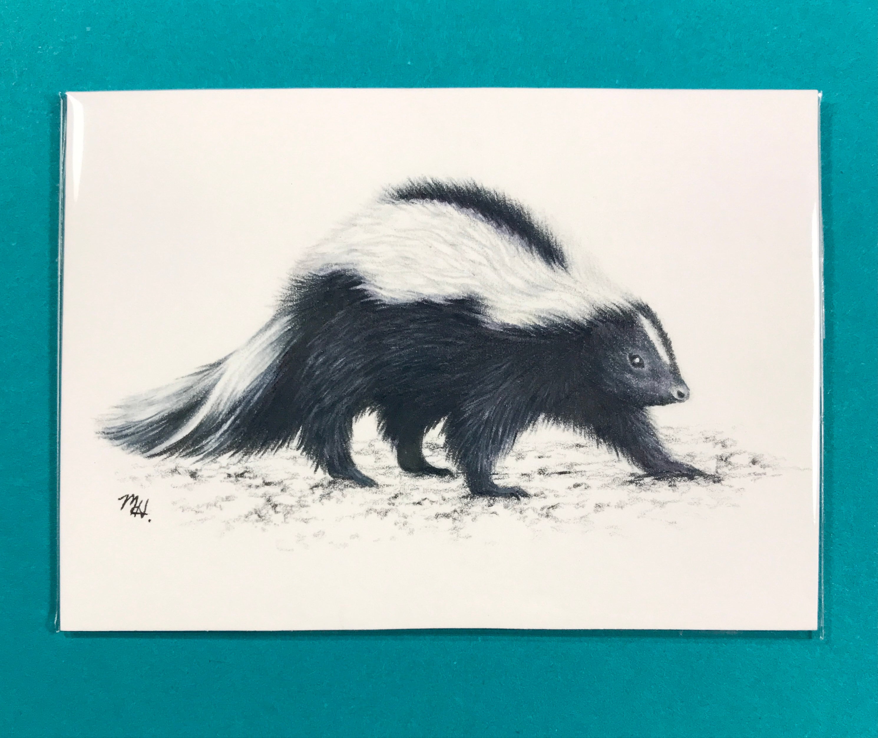 Colored Skunks