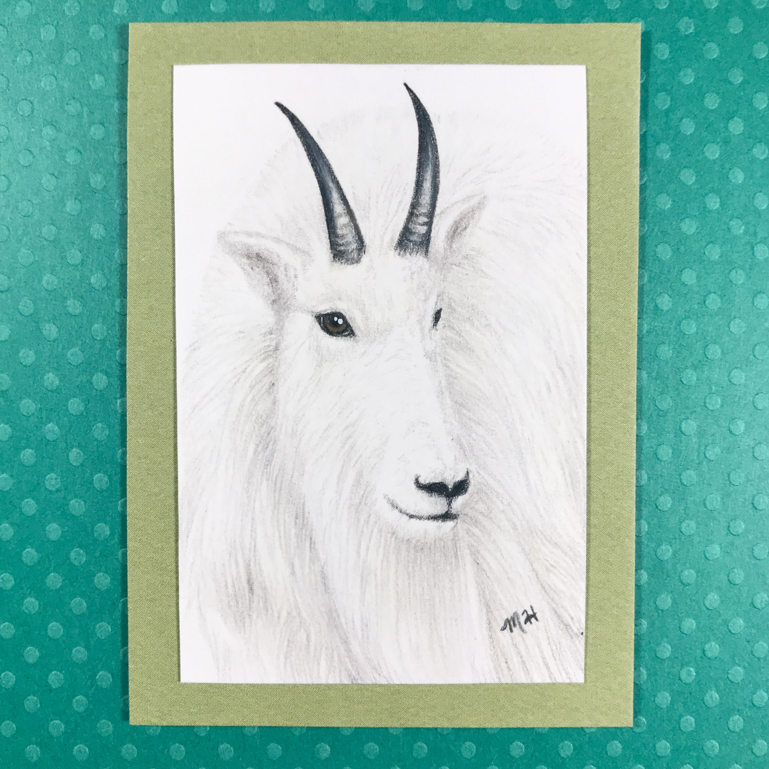 Mountain Goat Drawing