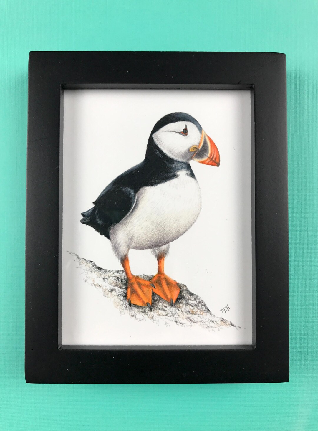 Atlantic Puffin Original Colored Pencil Drawing in a Black Frame, Hand ...
