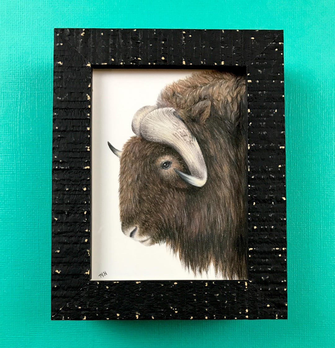 Musk Ox Original Colored Pencil Drawing in a Black Frame - Etsy