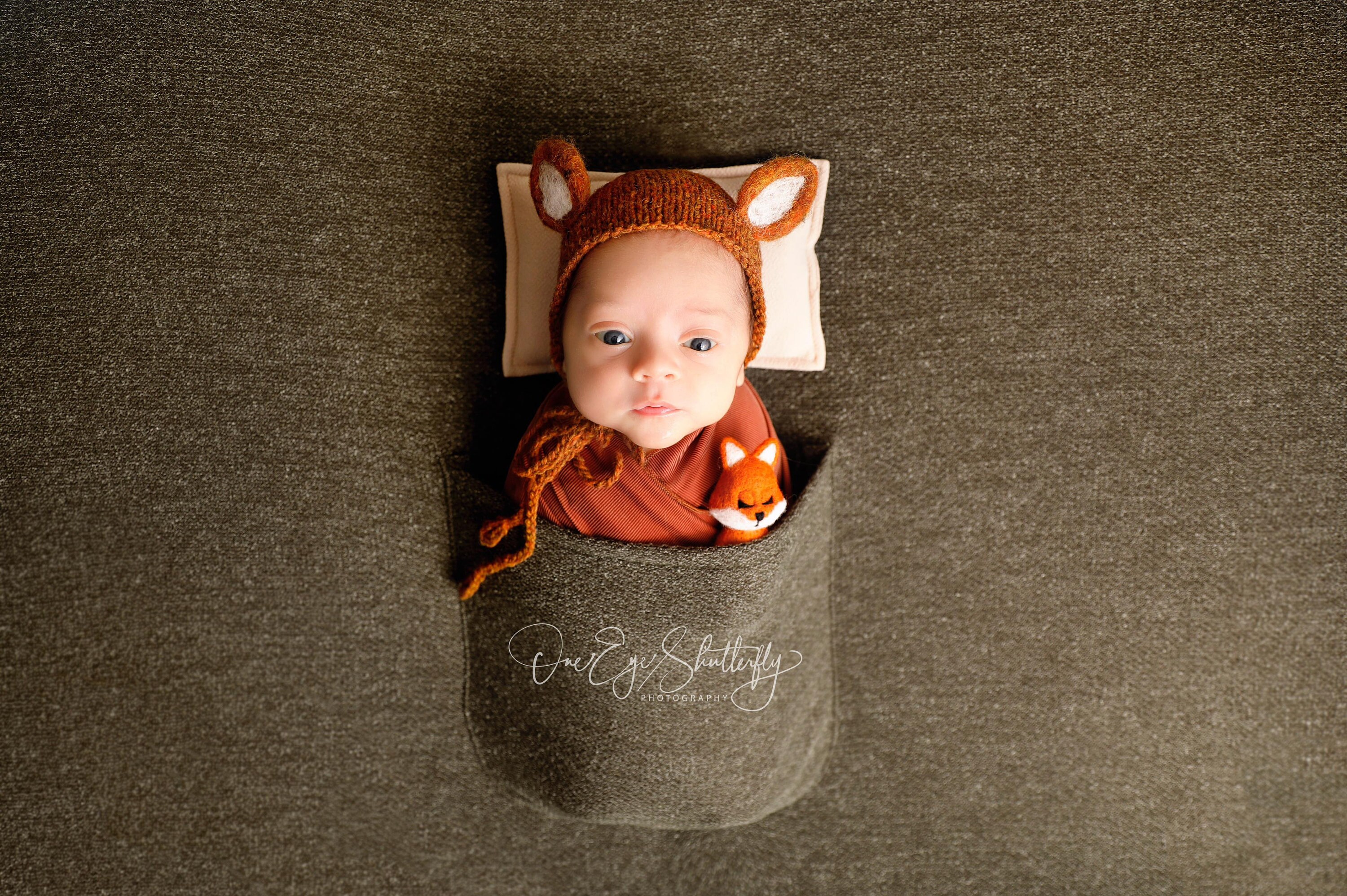 MADE TO ORDER! Felted Fox Props | Newborn Photography Prop Wool Animal ...