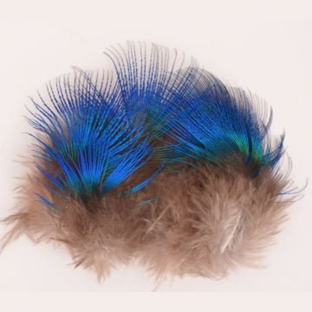 Blue Peacock Plumes - Etsy