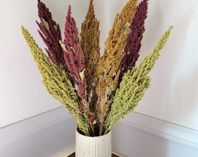 Natural Dried Amaranthus Stems * Mix of Colors * Grown in USA - Etsy
