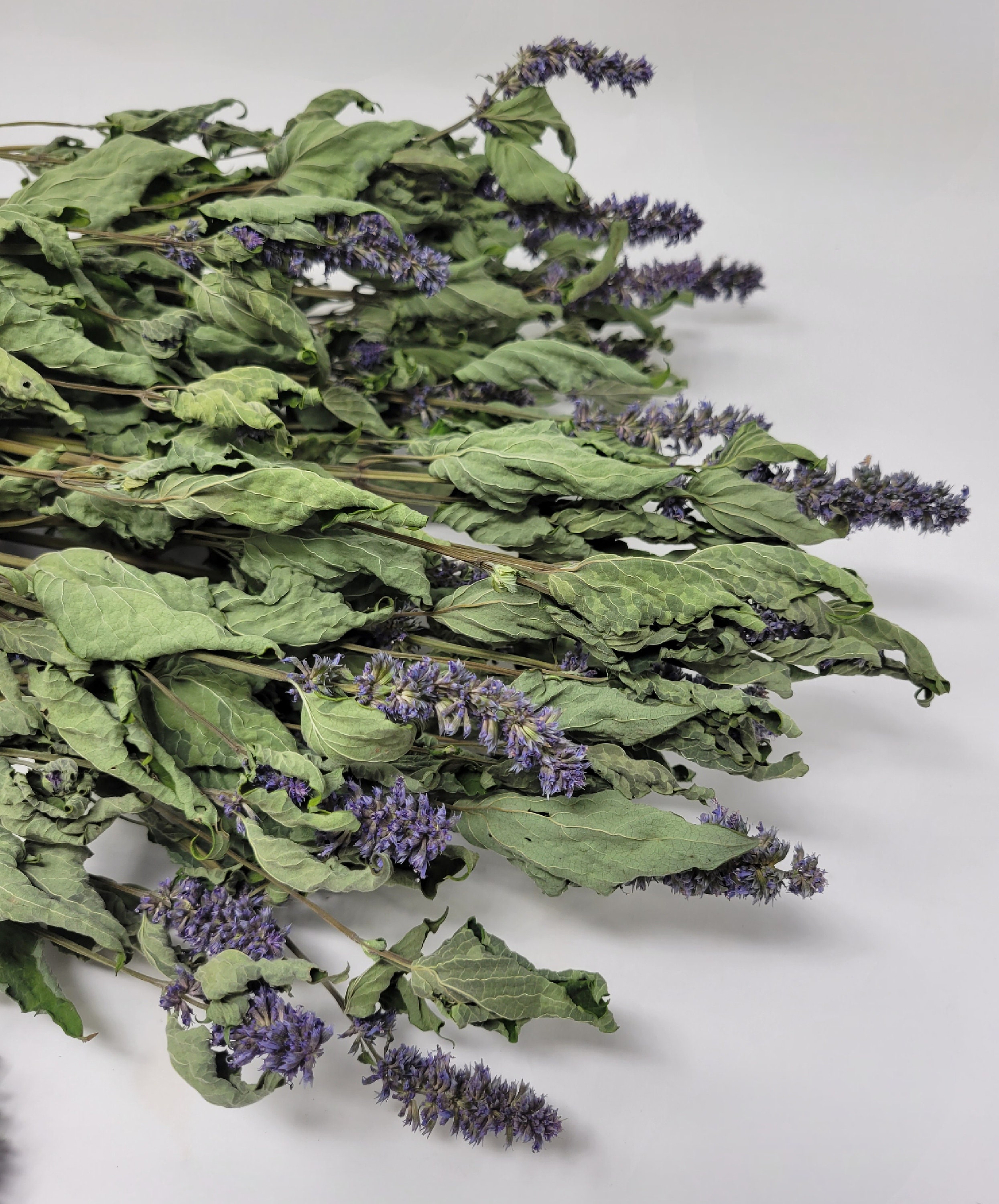 Naturally Dried Anise Hyssop Stems Dried Herbs - Etsy