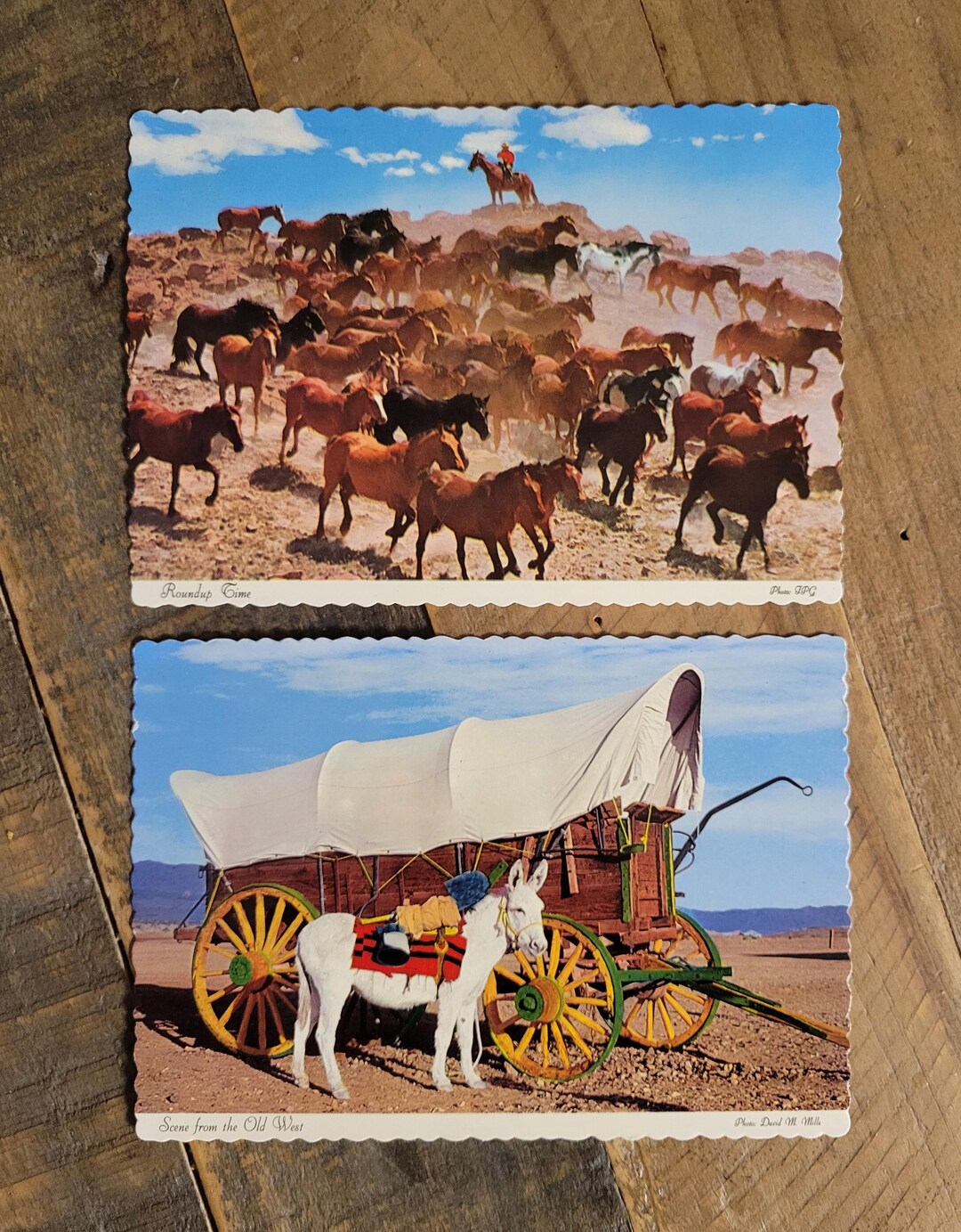 Vintage Dexter Postcards (2) * Horses * Mule * Old West * Unused - Etsy