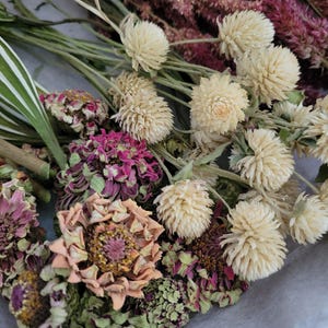 Botanical Box Dried Flowers Natural Decor & Crafting - Etsy