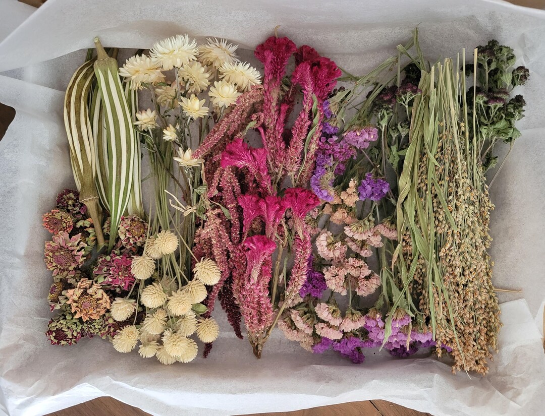 Botanical Box * Dried Flowers * Natural * Decor & Crafting - Etsy
