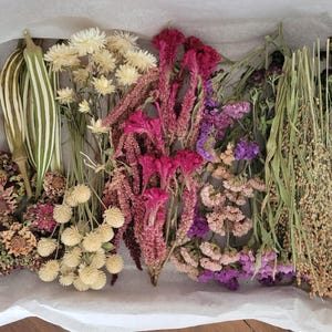Botanical Box Dried Flowers Natural Decor & Crafting - Etsy