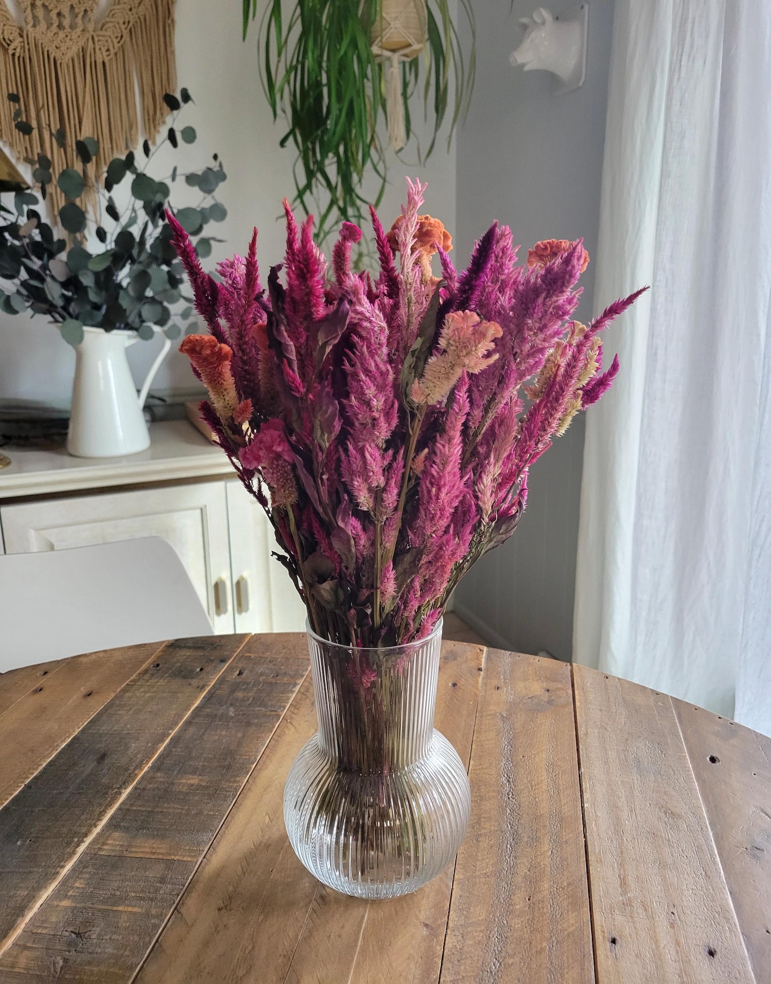 Mix of Dried Celosia * Stems * Grown in USA * Dried Flowers - Etsy