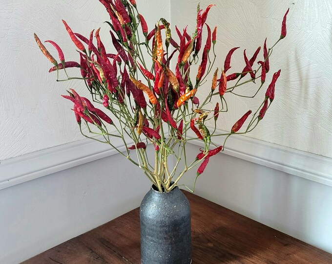Dried Heirloom Hot Chili Pepper Stems * Natural * Dried Botanicals - Etsy