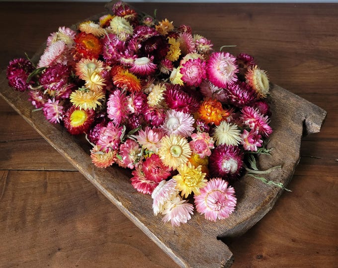 Mixed Dried Strawflowers Bunch，dried Strawflowers Heads With Stems，dry ...