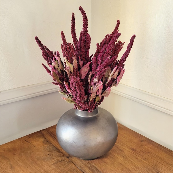 Dried Amaranthus - Etsy
