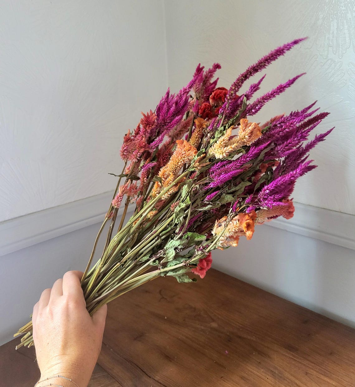 Mix of Dried Celosia * Stems * Grown in USA * Dried Flowers - Etsy