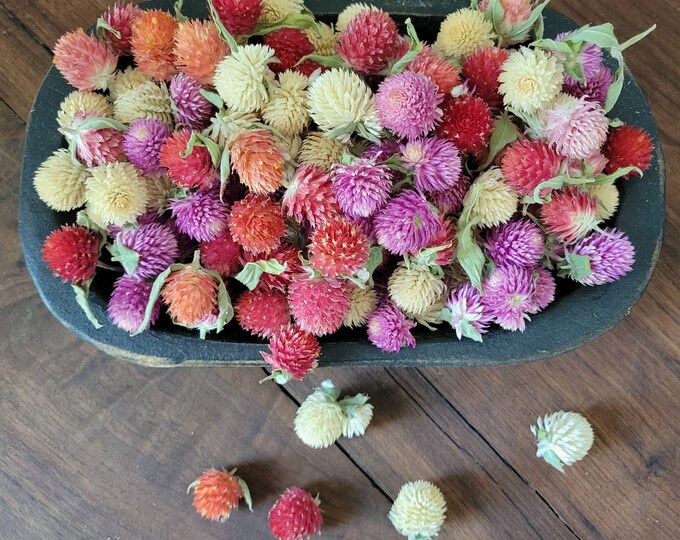Dried Gomphrena Heads * Mix of Colors * Natural * Grown in USA * Dried ...