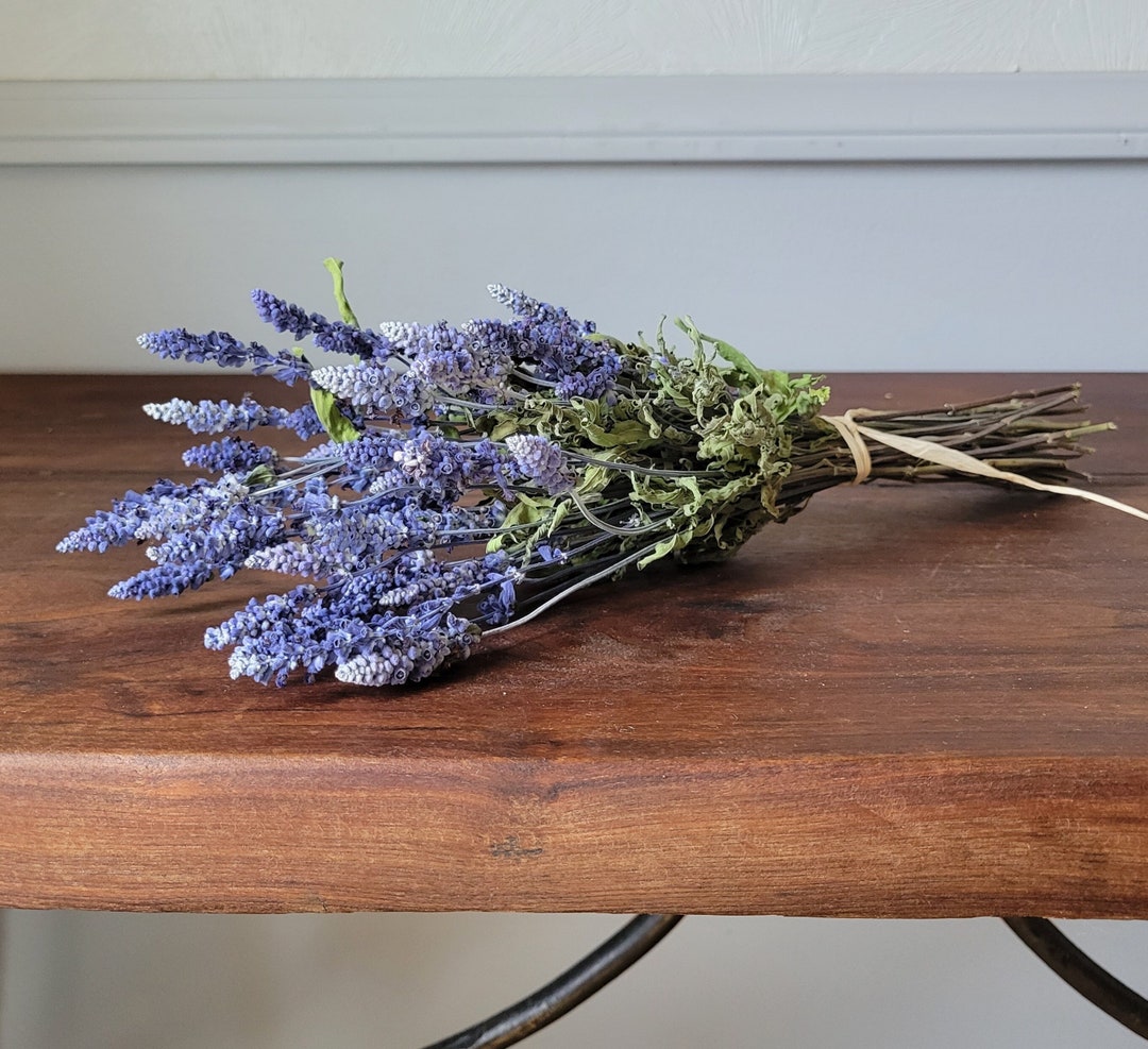 Dried Sirius Blue Sage Bundle Natural Grown in USA Dried Botanicals for ...
