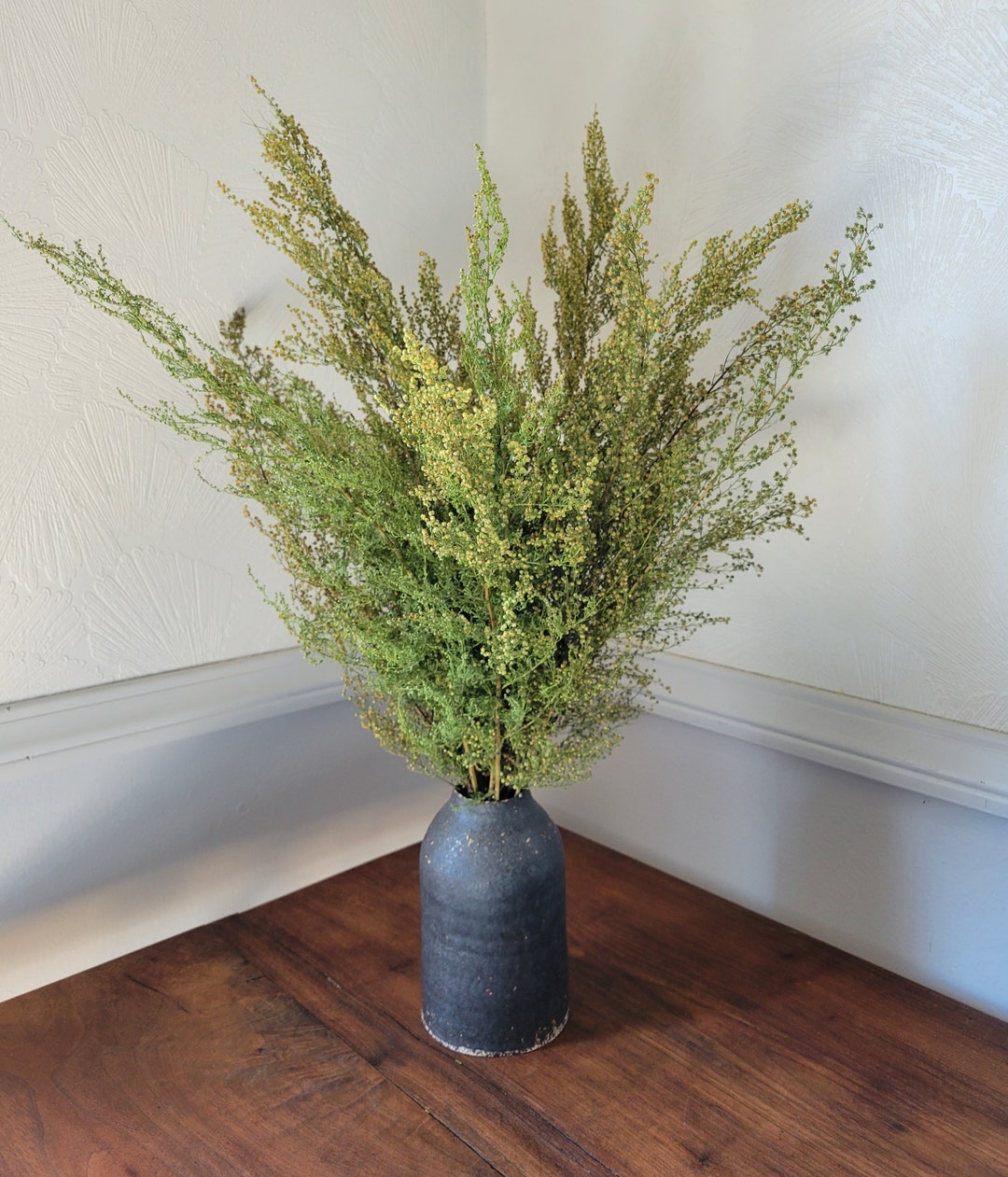 Dried Sweet Annie Stems Artemisia Wormwood Natural Grown in USA - Etsy