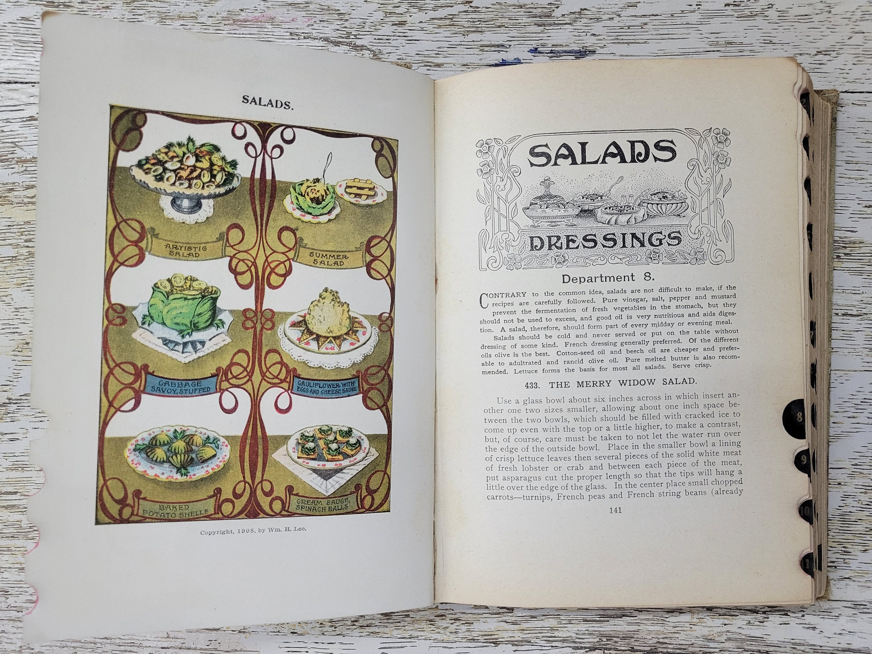 RARE! the Standard Domestic Science Cook-book 1908 * Jennie Hansey ...