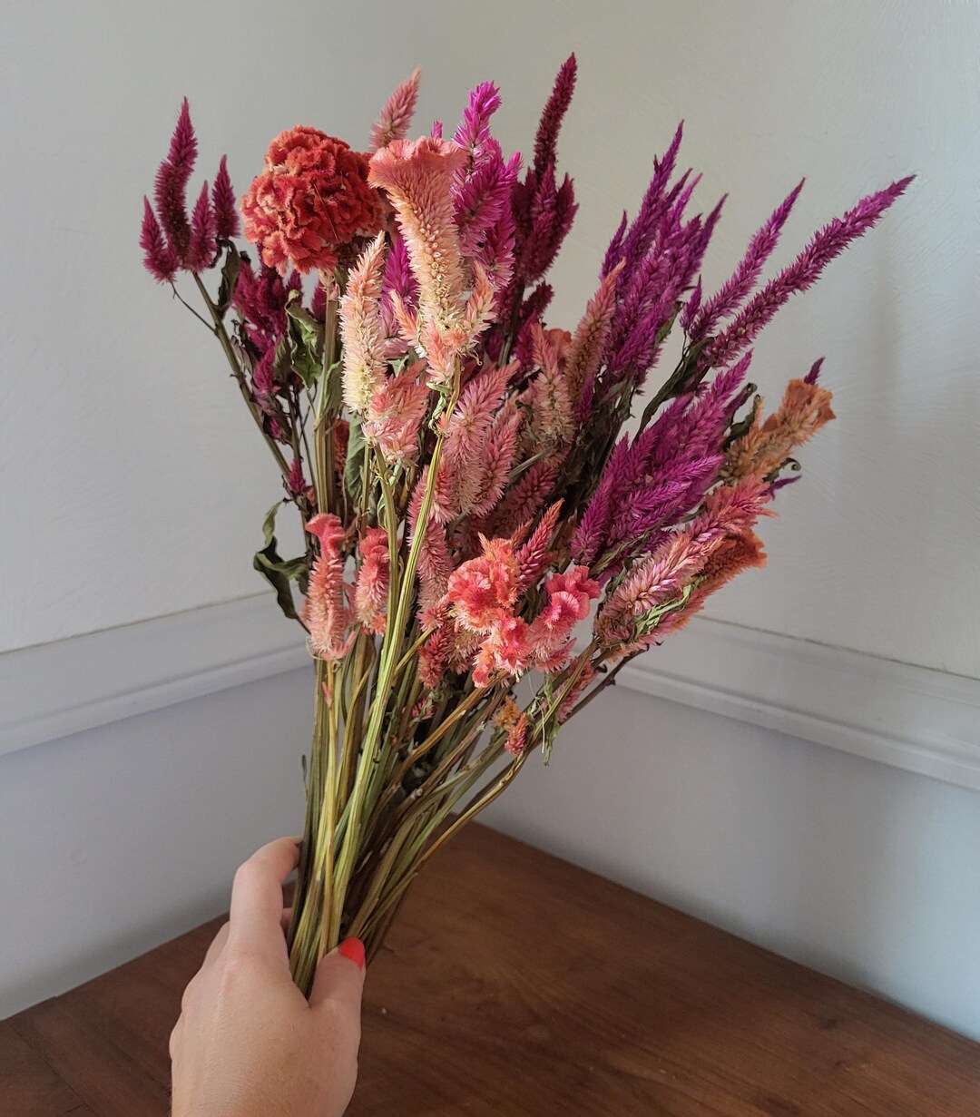 Mix of Dried Celosia * Stems * Grown in USA * Dried Flowers - Etsy
