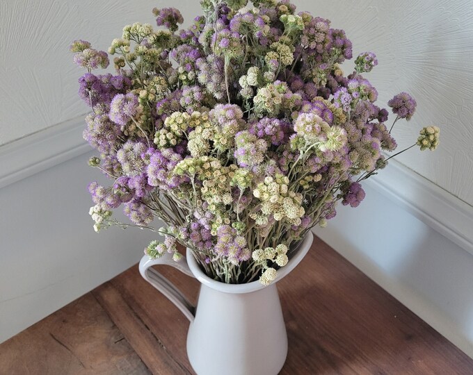 Dried Achillea Mix * Dried Yarrow Bundle * Natural * Grown in USA - Etsy