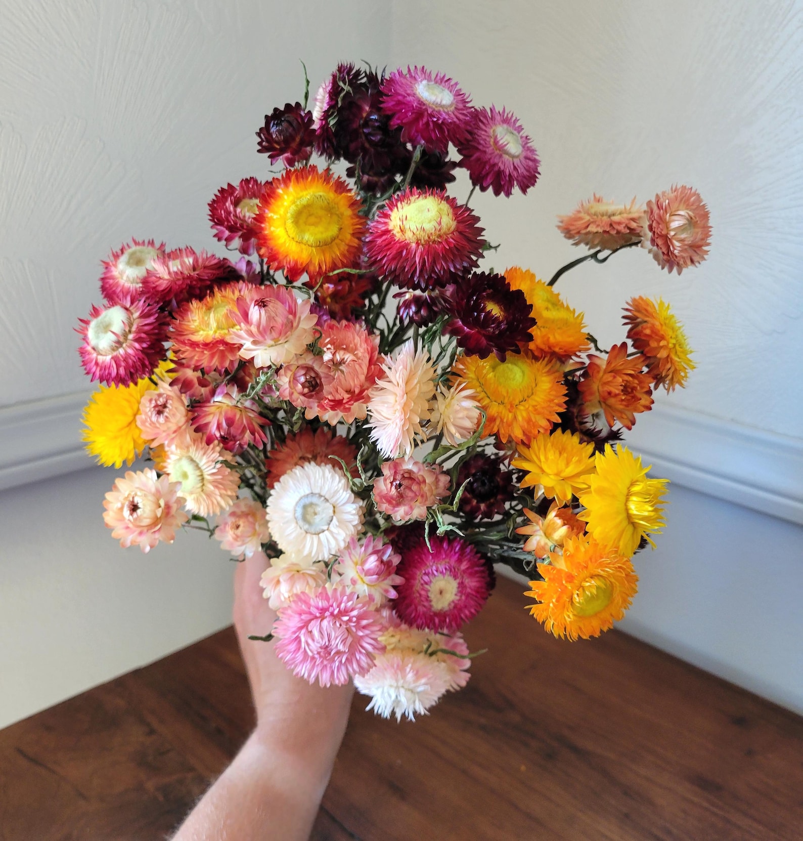 Dried Strawflower Bunch * Mix of Colors * Natural Stems * Dried Flowers ...