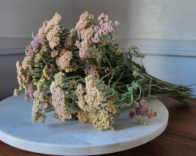 Dried Achillea Mix * Dried Yarrow Bundle * Natural * Grown in USA - Etsy