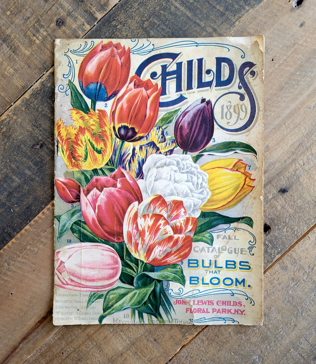 Rare 1899 Childs' Flower Bulb Catalog: Antique Floral Illustration - Etsy