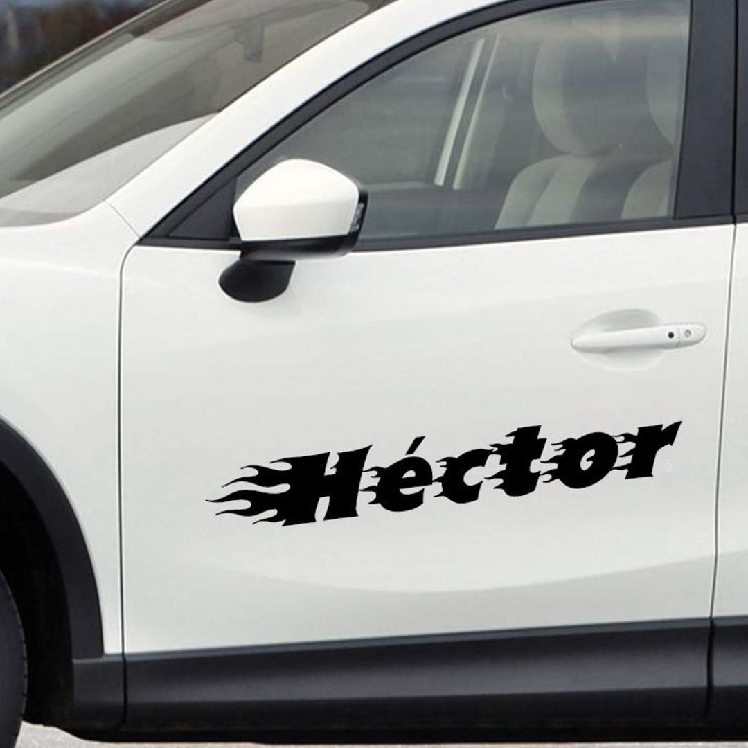 Decorative Vinyl Custom Text, Car Decal, Car Name Sticker - Etsy