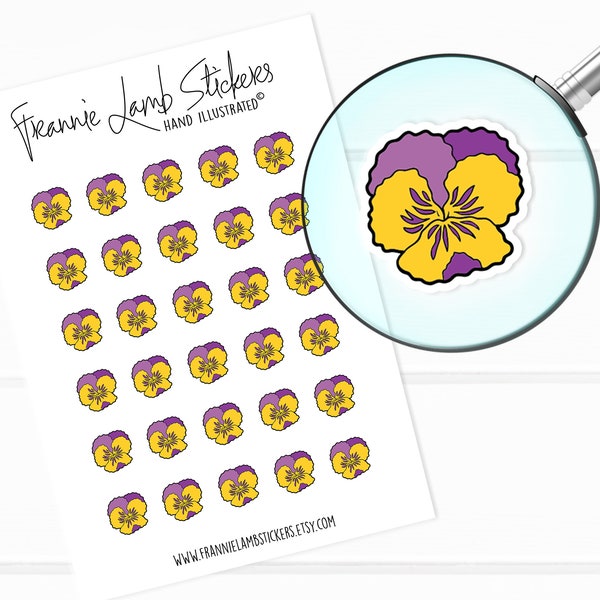 Pansy - Etsy