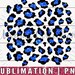 Light Blue Leopard Print PNG File, Sublimation Design, Background ...