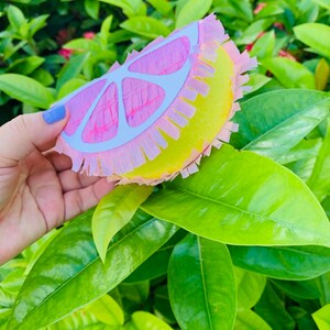 Grapefruit Mini Piñata, Tuttifrutti Decoration, Twotti-frutti Party - Etsy