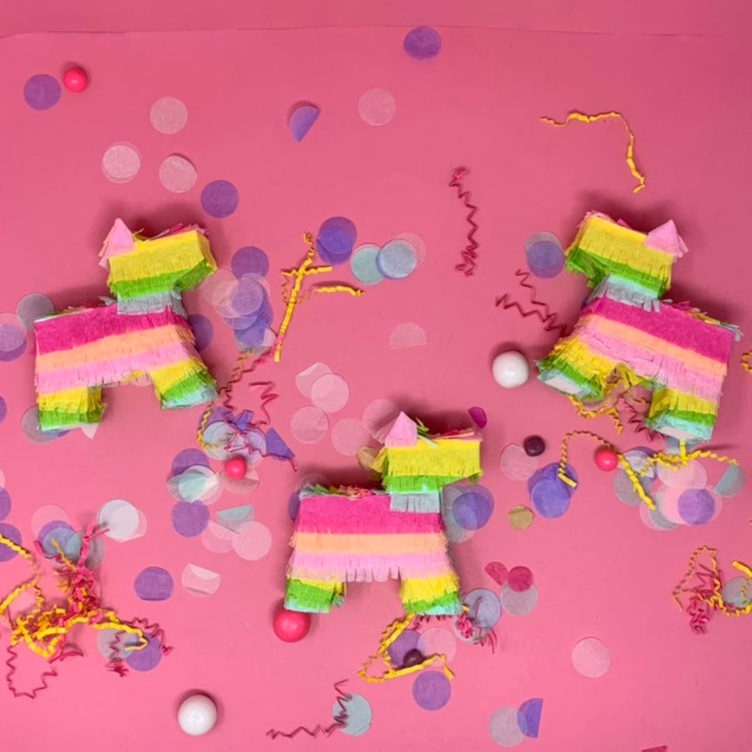 Donkey Piñata Party Favors: Fiesta Decor, Bridesmaid Proposal & Unique ...