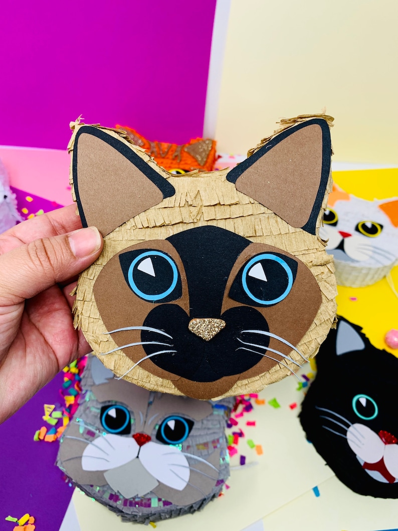 Mini Cat Piñata 1 Mini Cat Pinata Cat Party Cat Party | Etsy Canada